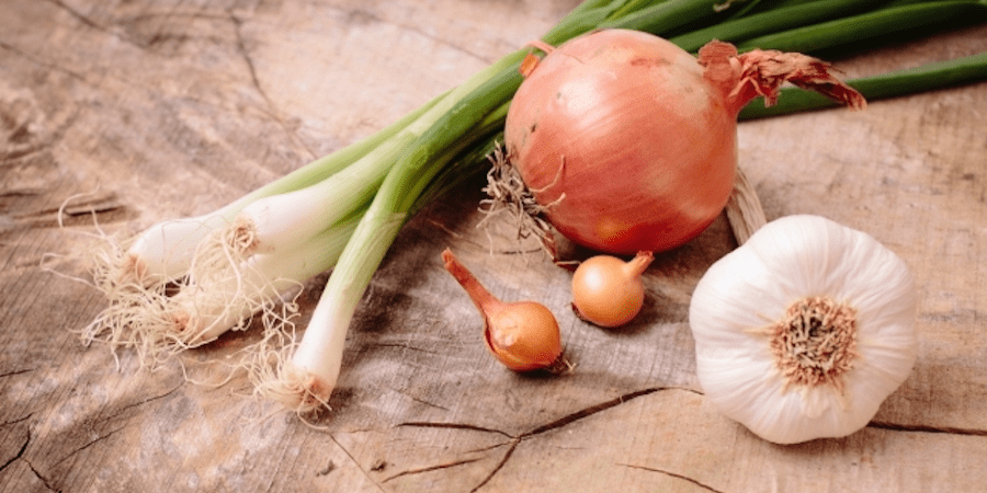 gokun | Food Diversity.today