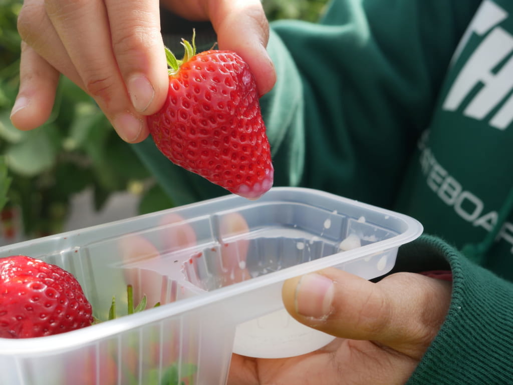 Muslim Travelers Explore Gotemba, Shizuoka Prefecture (Part 1) ; From ...