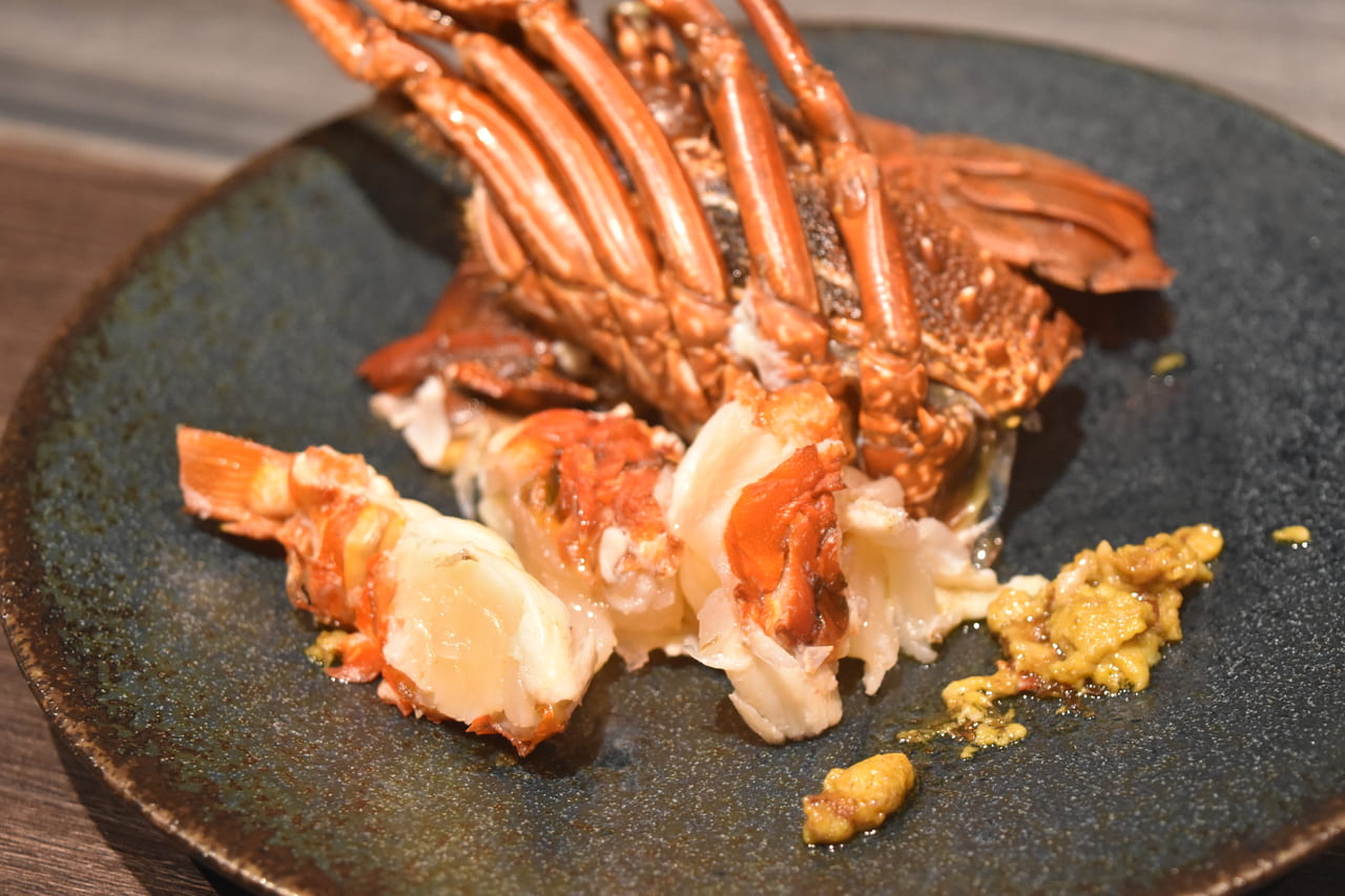 Kobe Beef Steak SAKURA, The Superb Halal Kobe Beef You Can Enjoy in ...