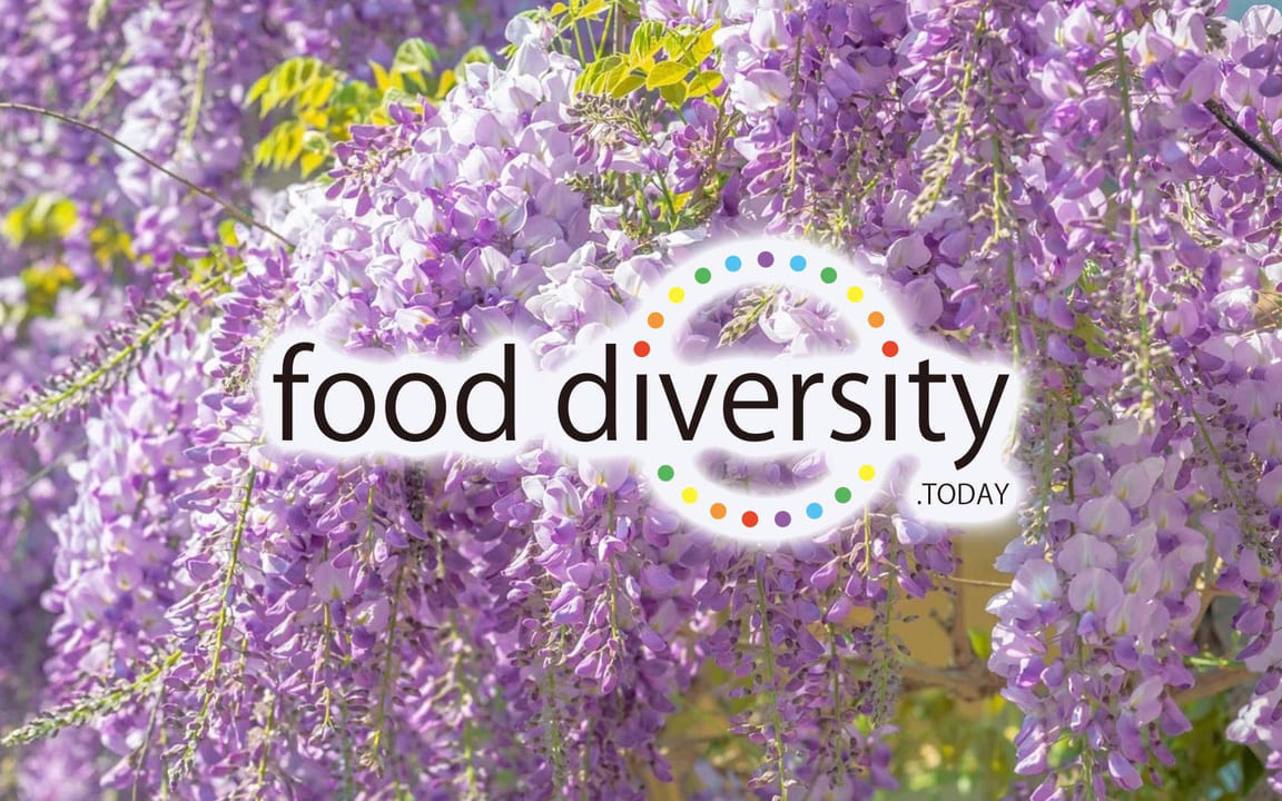 | Food Diversity.today