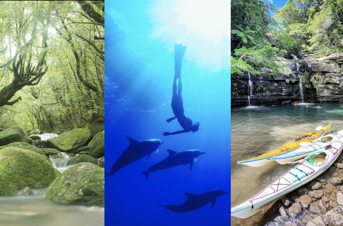 5 Best World Natural Heritage Sites in Japan For an Outdoor Adventure ...