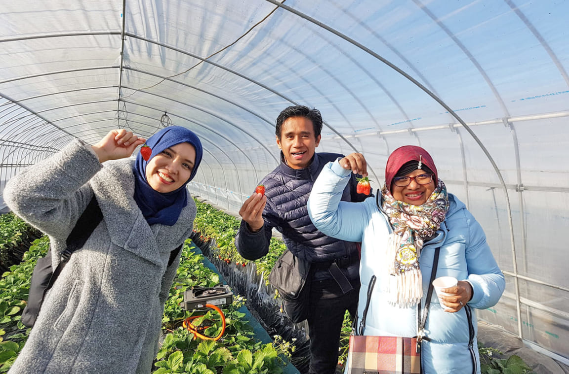 Japan Considers Gradually Open The Border Starts From June 10 | Food ...