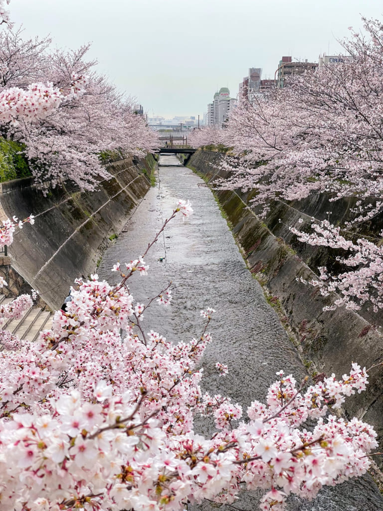 Discovering the Muslim-Friendly Gems of Kobe: Halal Kobe Beef, Prayer ...