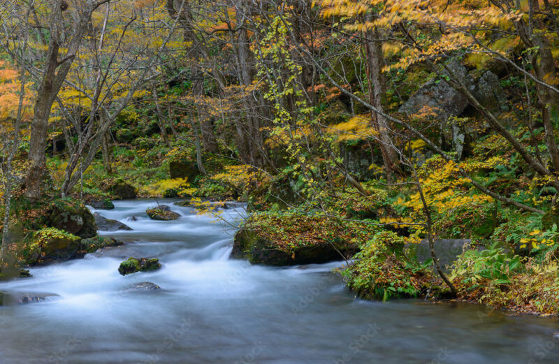 An Ultimate Travel Guide to Tohoku’s Top Fall Foliage Spots