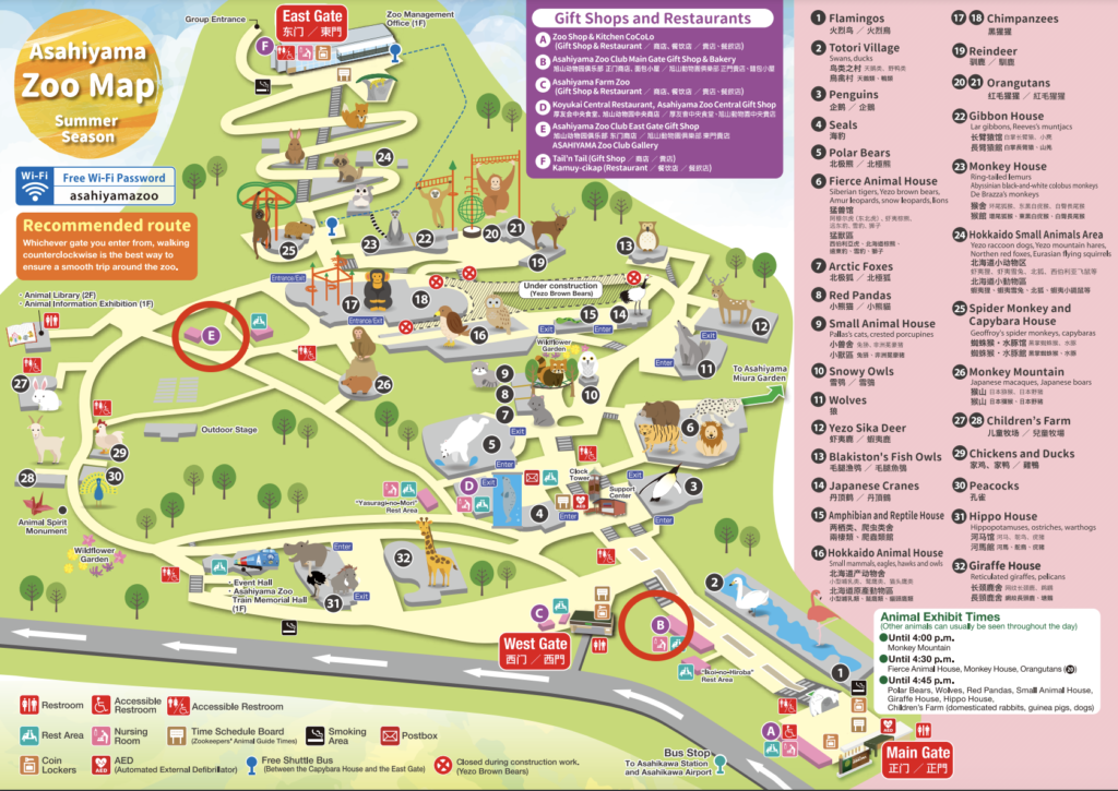 Asahiyama Zoo Now Has Halal Delights for Muslim Visitors!