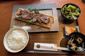 Halal-certified Mochi as Souvenirs (kibidango) | Food Diversity.today