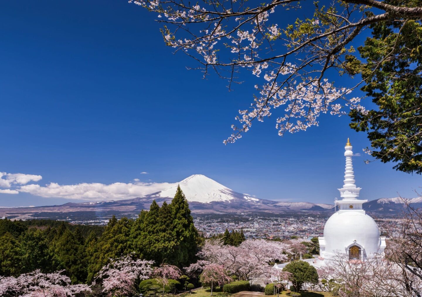 A Journey to the Foot of Mt. Fuji: Experience Shopping and Imperial ...